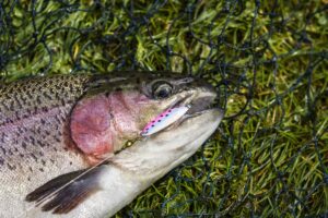 Benefits Of Biodegradable Fishing Lures