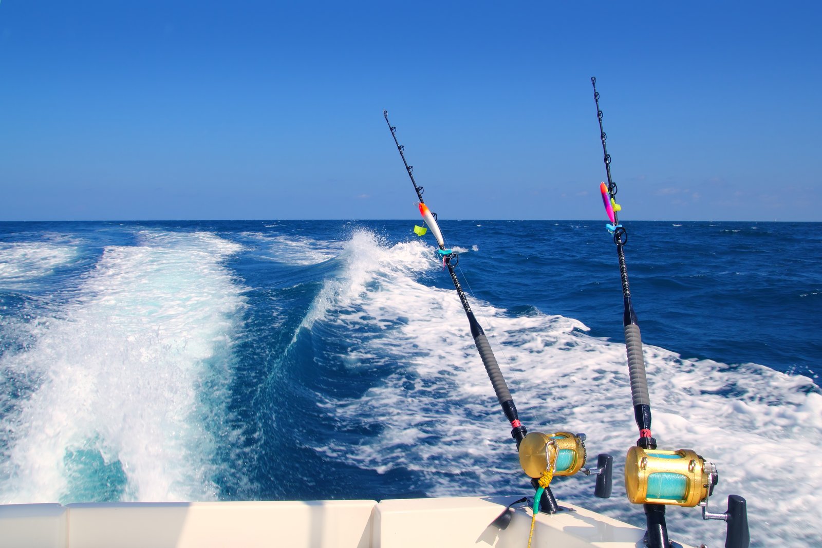 Expensive Fishing Reels: Luxury Equipment with Sustainable Benefits